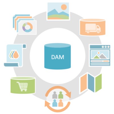 Torino - DAM and Workflow Solutions